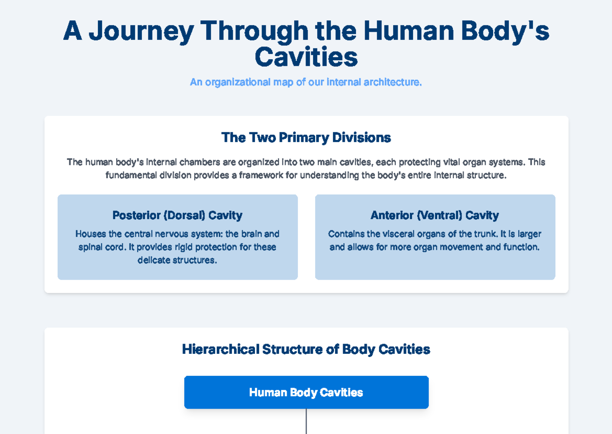 Anatomy and Physiology: Understanding Human Body Cavities - Studocu
