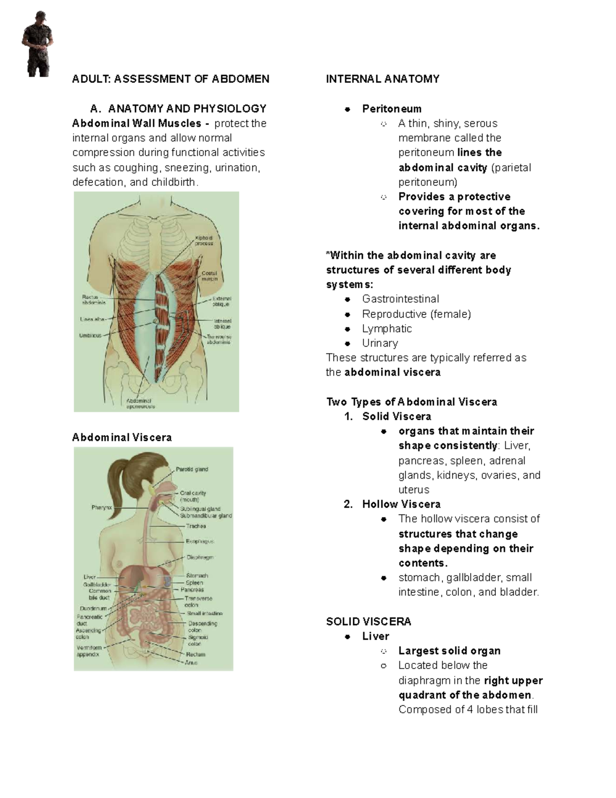 ADULT: ASSESSMENT OF ABDOMEN ANATOMY & PHYSIOLOGY Notes - Studocu