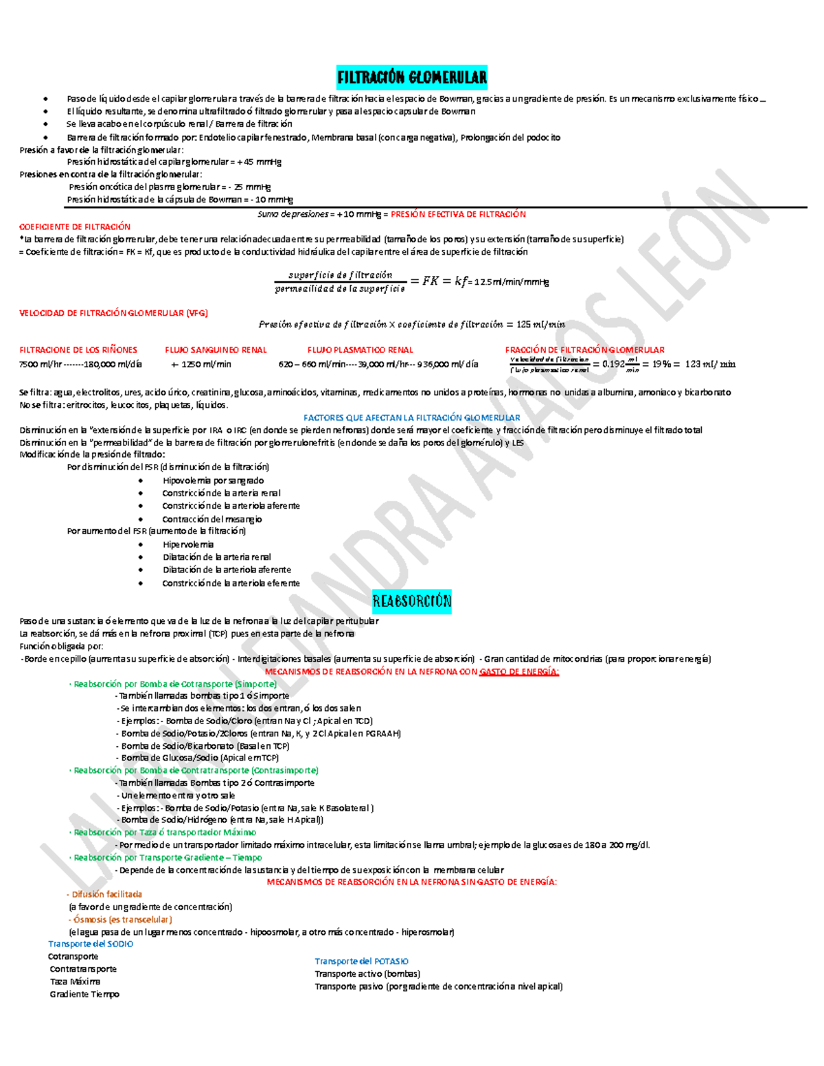 GUÍA DE FILTRACIÓN Y REABSORCIÓN RENAL - BIO 202 - Studocu