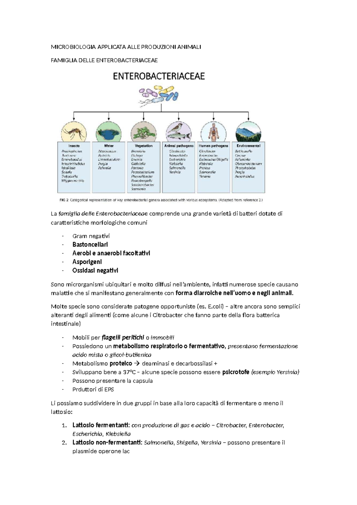 Enterobacteriaceae e E. COLI - MICROBIOLOGIA APPLICATA ALLE PRODUZIONI ...