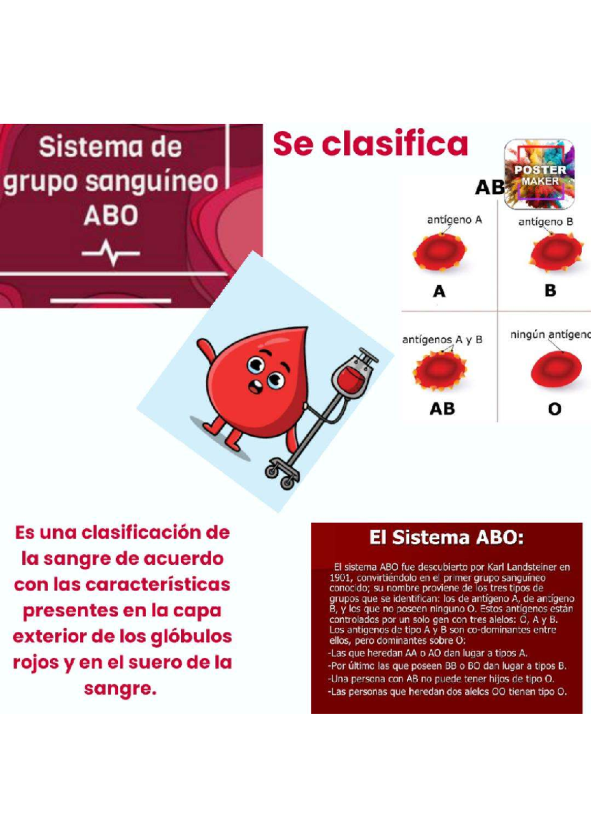Infografía sobre el Sistema ABO y Clasificación de Grupos Sanguíneos - Studocu