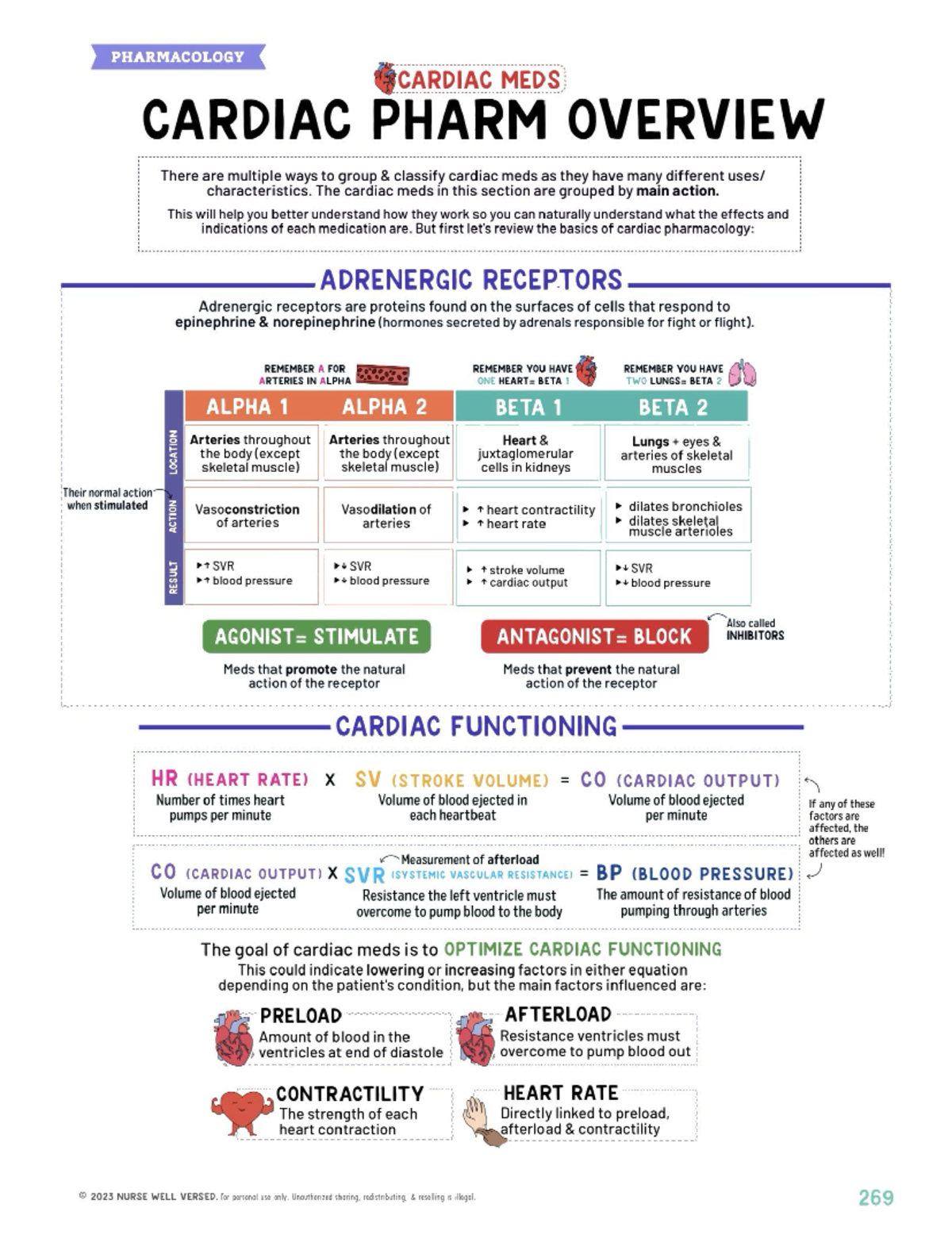 PHARMACOLOGY CARDIAC MEDS OVERVIEW: ADRENERGIC RECEPTORS & FUNCTIONS ...