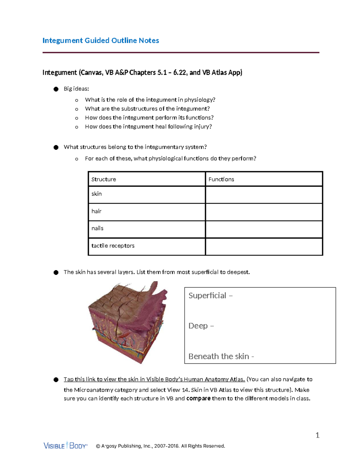 Integument Unit Guided Notes (VB Chapters 5.1 & 6.22) - Studocu