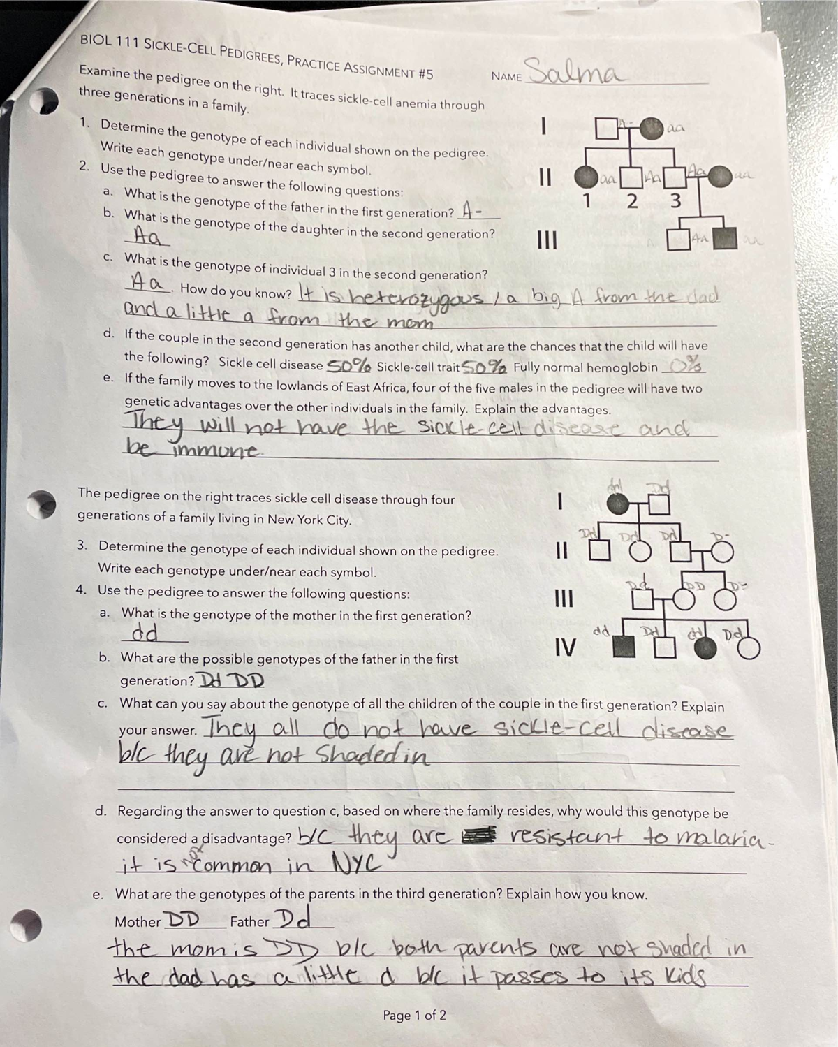 BIOL111 Practice Assignment #5: Analyzing Pedigrees for Genetic Traits ...