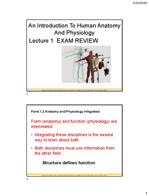 [Solved] What is the name of the functional unit of skeletal muscles ...