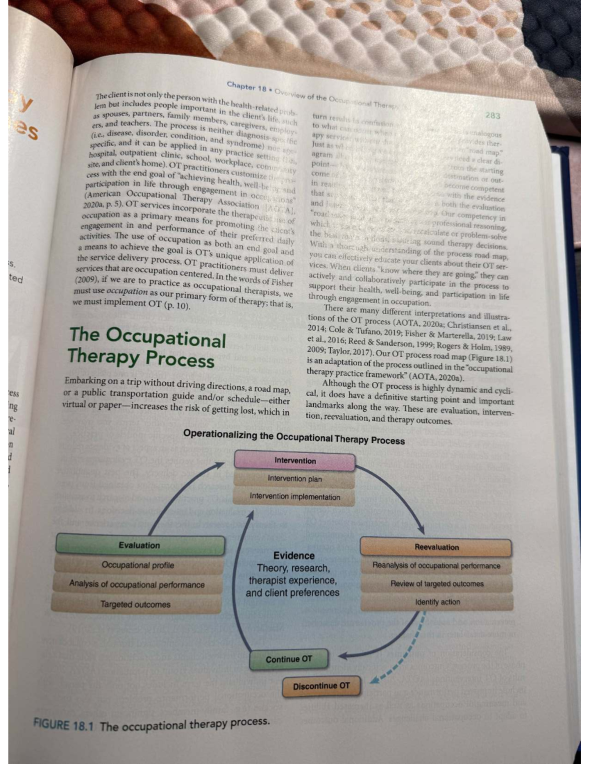Chapter 18: Overview of Occupational Therapy (OT 283) Insights - Studocu