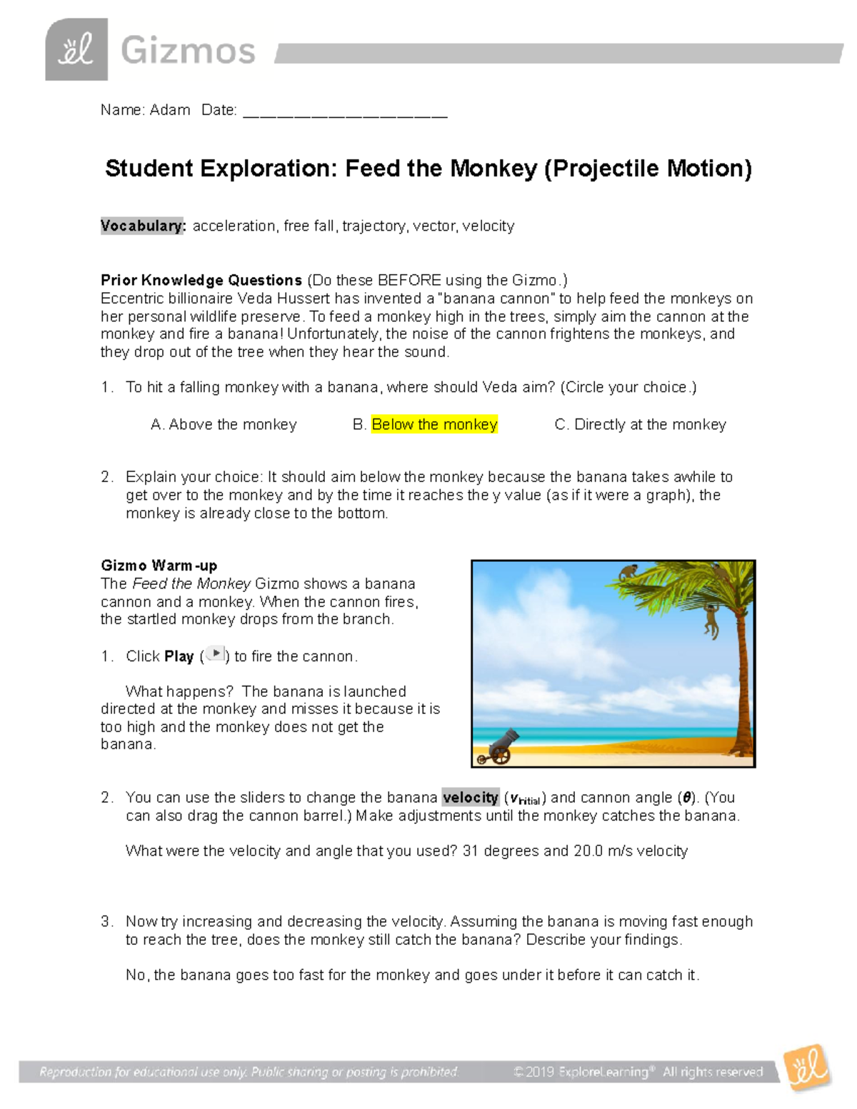 Projectile Motion Exploration: Feed the Monkey Gizmo Activities - Studocu