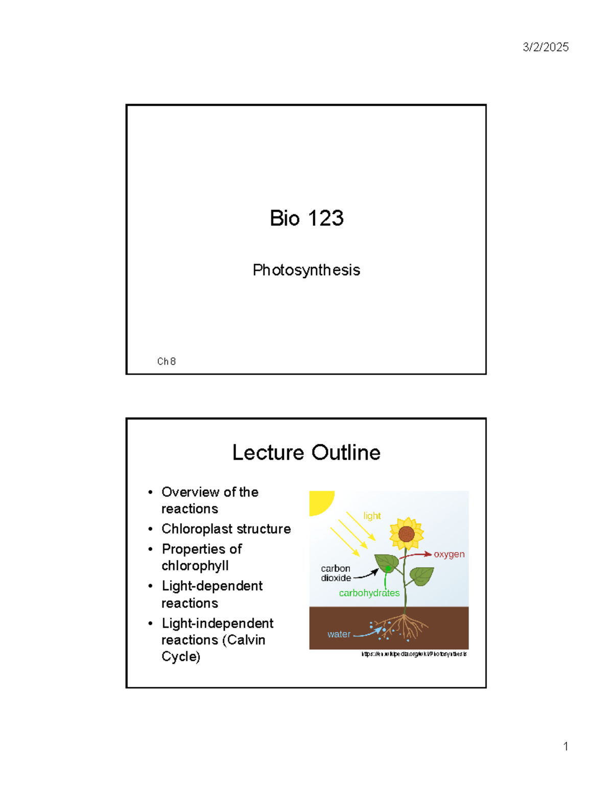 Bio 123: Lecture Outline on Photosynthesis (Ch 8) - Bio 123 ...