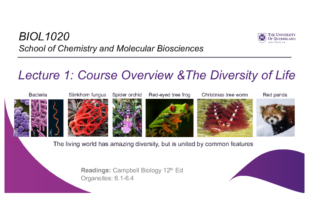 BIOL1020 Lecture 1: Course Overview & Diversity of Life - Studocu