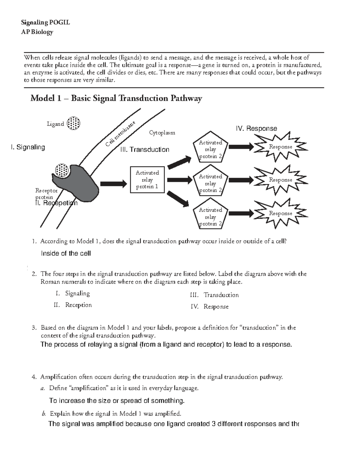 Signal Transduction Pathways in AP Biology: A POGIL Approach - Studocu