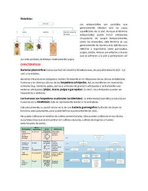 Tinya - La información es importante - INYA La tinya es un instrumento ...