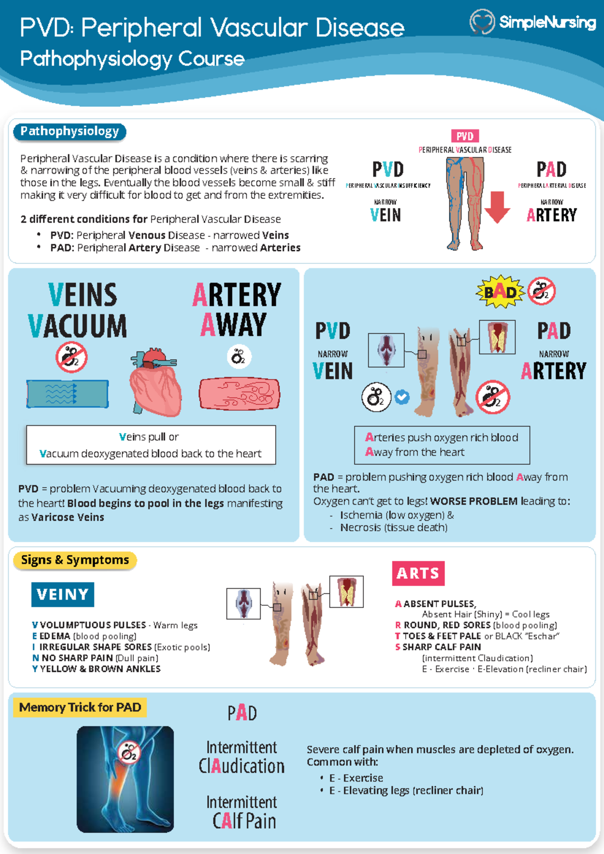 1. PVD - Patho & Signs - Study guide - PVD: Peripheral Vascular Disease ...