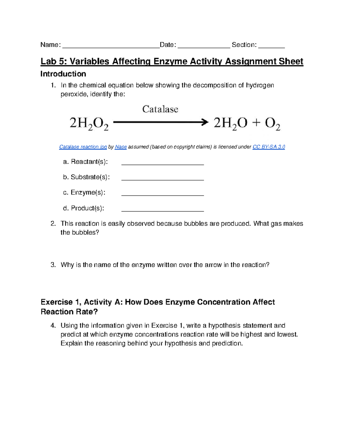 Lab 5: Variables Influencing Enzyme Activity - Assignment Sheet - Studocu