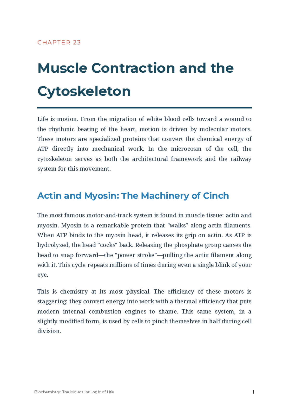 Chapter 23: Muscle Contraction & Cytoskeleton Overview - Studocu