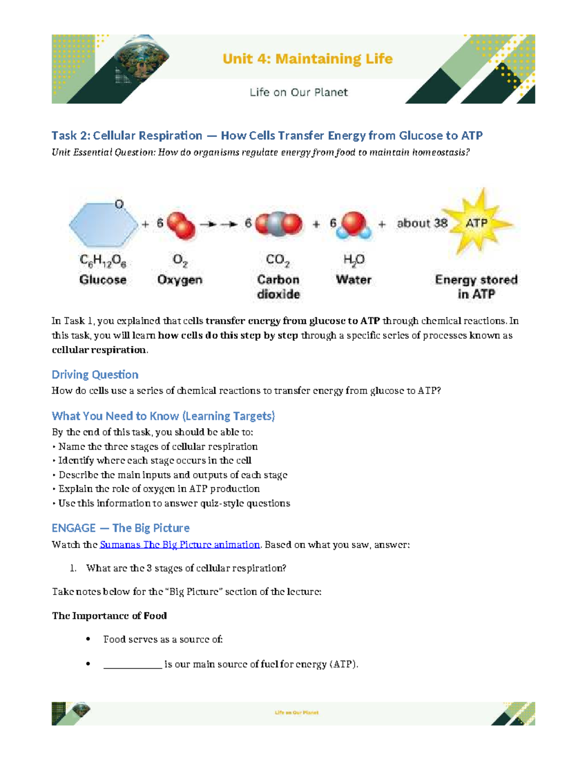 Task 2: Cellular Respiration - Energy Transfer from Glucose to ATP ...