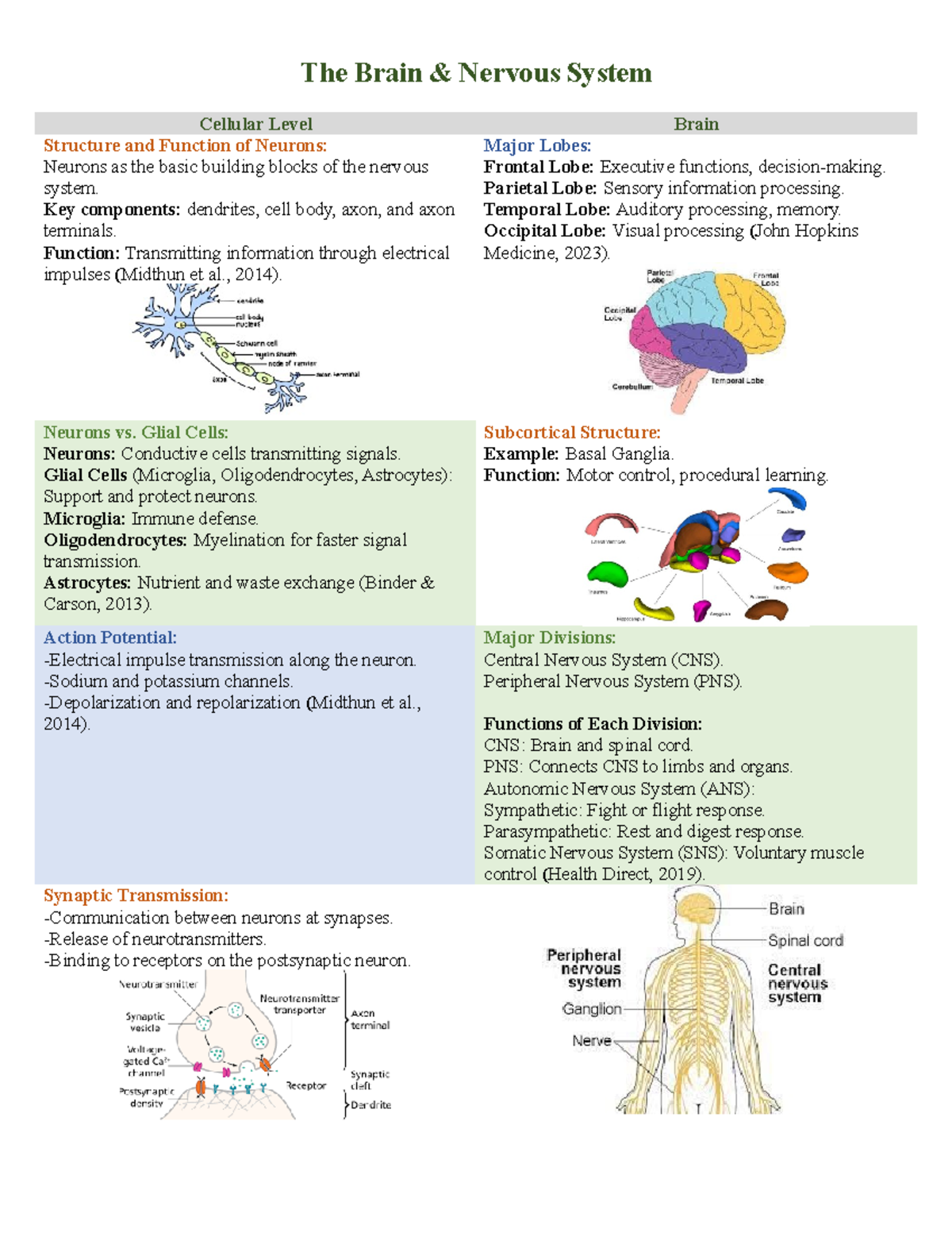 BIO-101: Lecture on Brain & Nervous System Structure and Functions ...