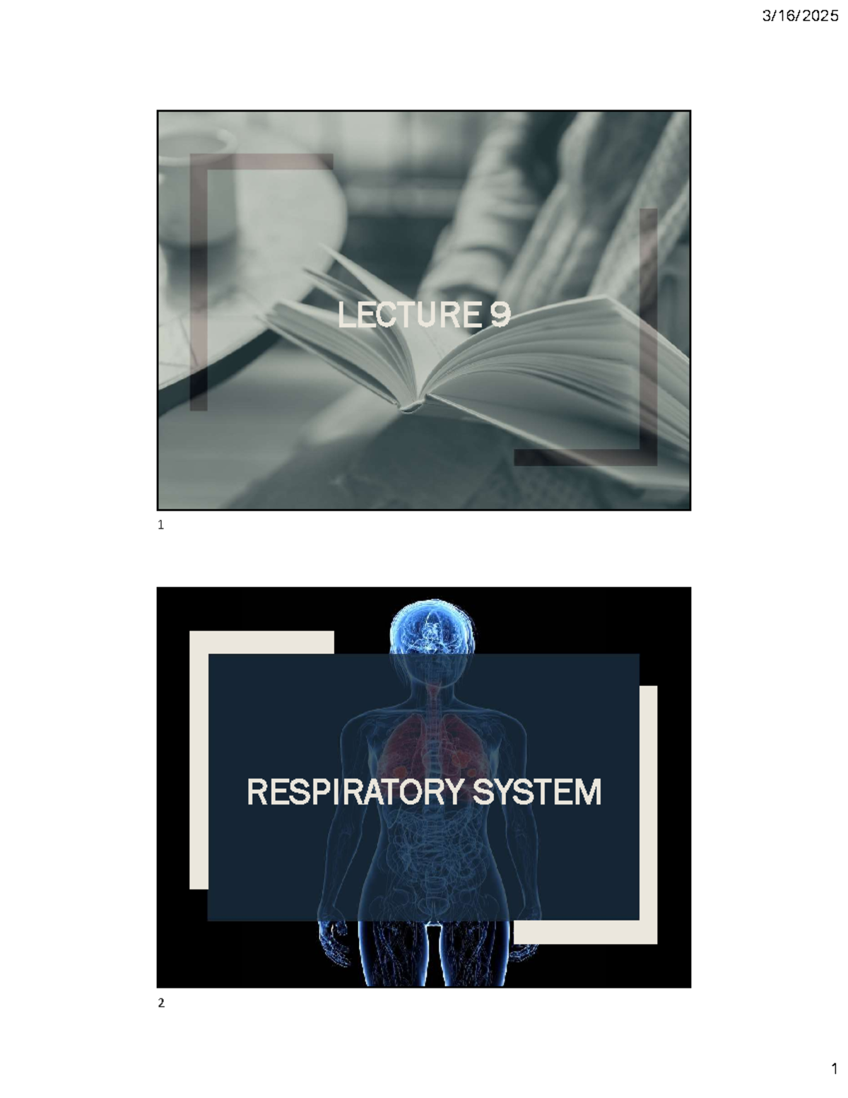 Respiratory System Overview - Lecture 9 (Course Code: BIO101) - LECTURE ...