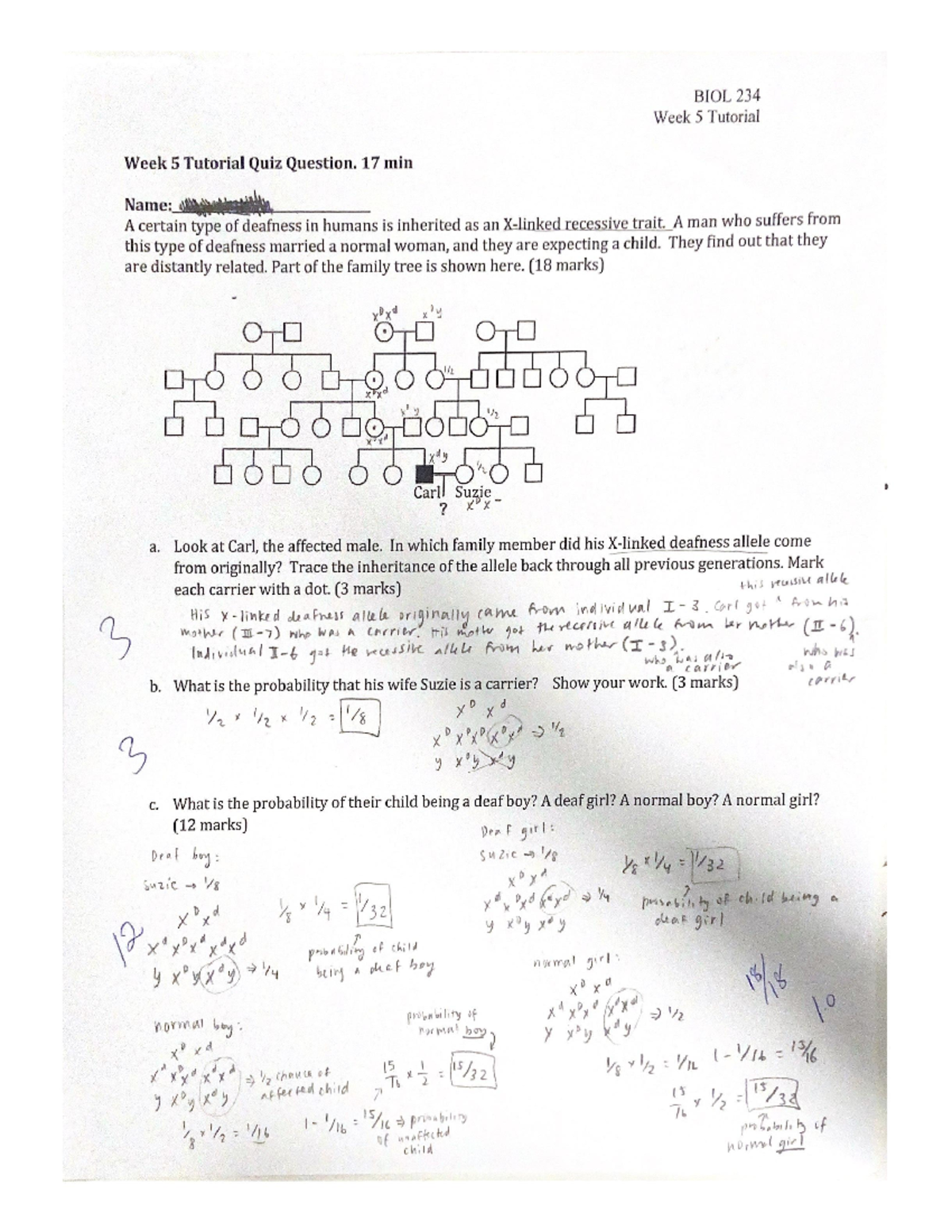 BIOL 234 - Week 5 Tutorial Quiz on X-Linked Recessive Traits - Studocu