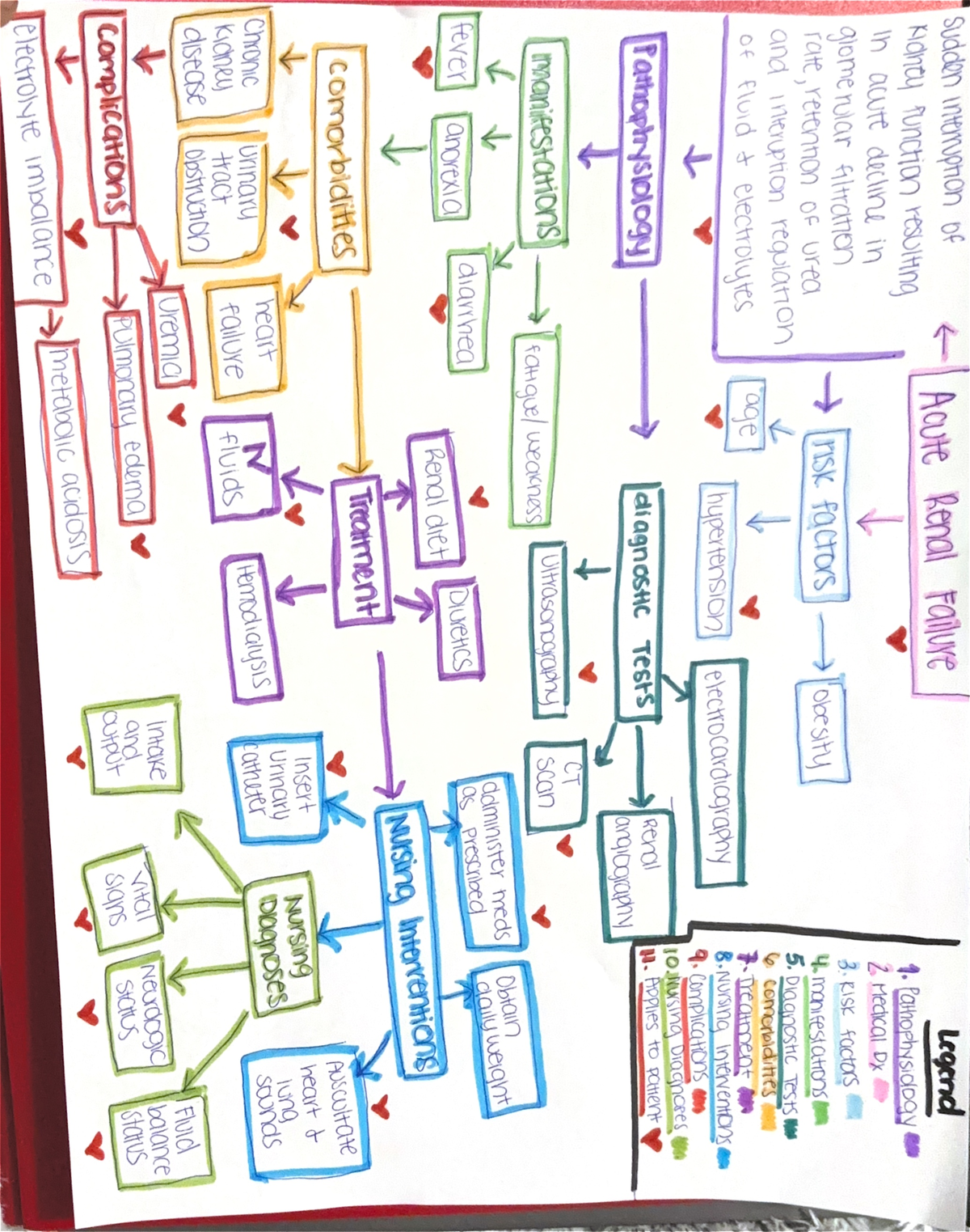 Clinical paperwork patho flow sheet for renal injury with clinical ...
