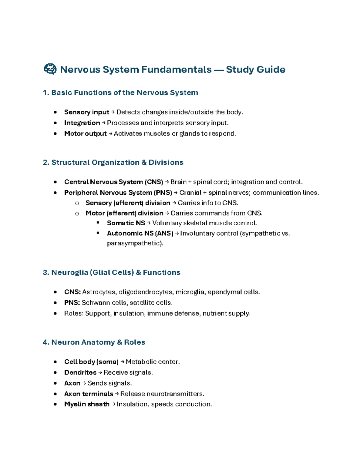 Nervous System Fundamentals — Study Guide - Studocu