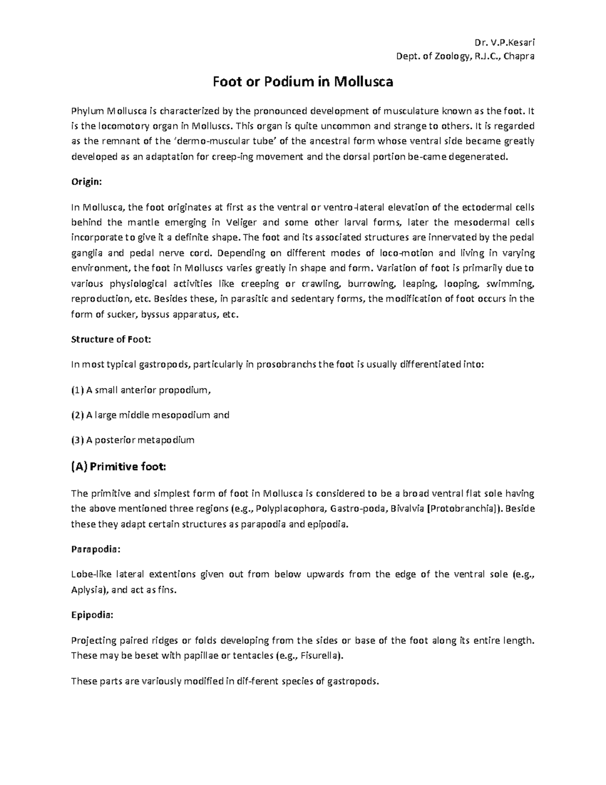 Molluscan Foot Modification: Structure, Functions, and Adaptations ...