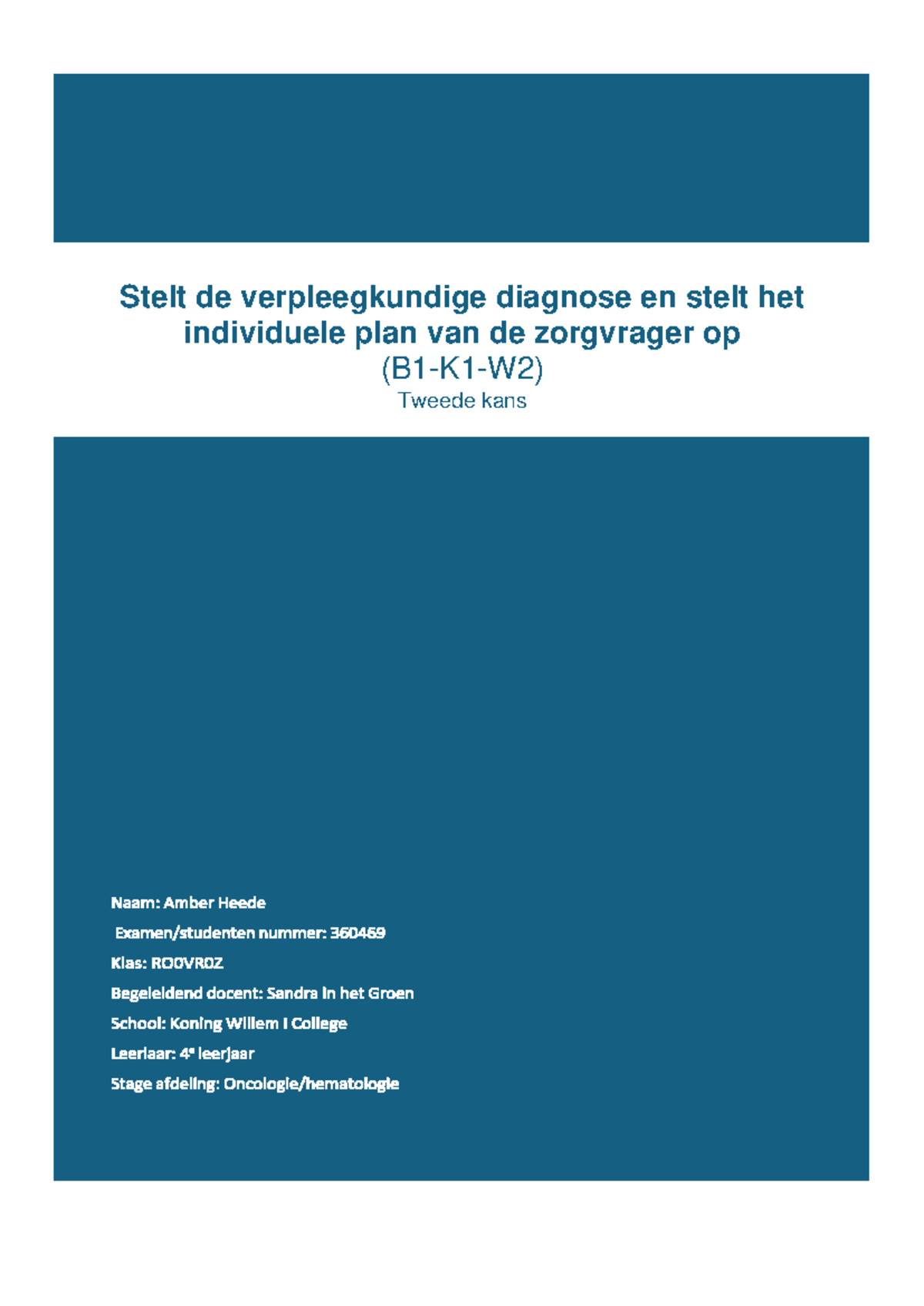 B1-K1-W2: Verpleegkundige Diagnoses en Individueel Zorgplan Anamnese - Studeersnel