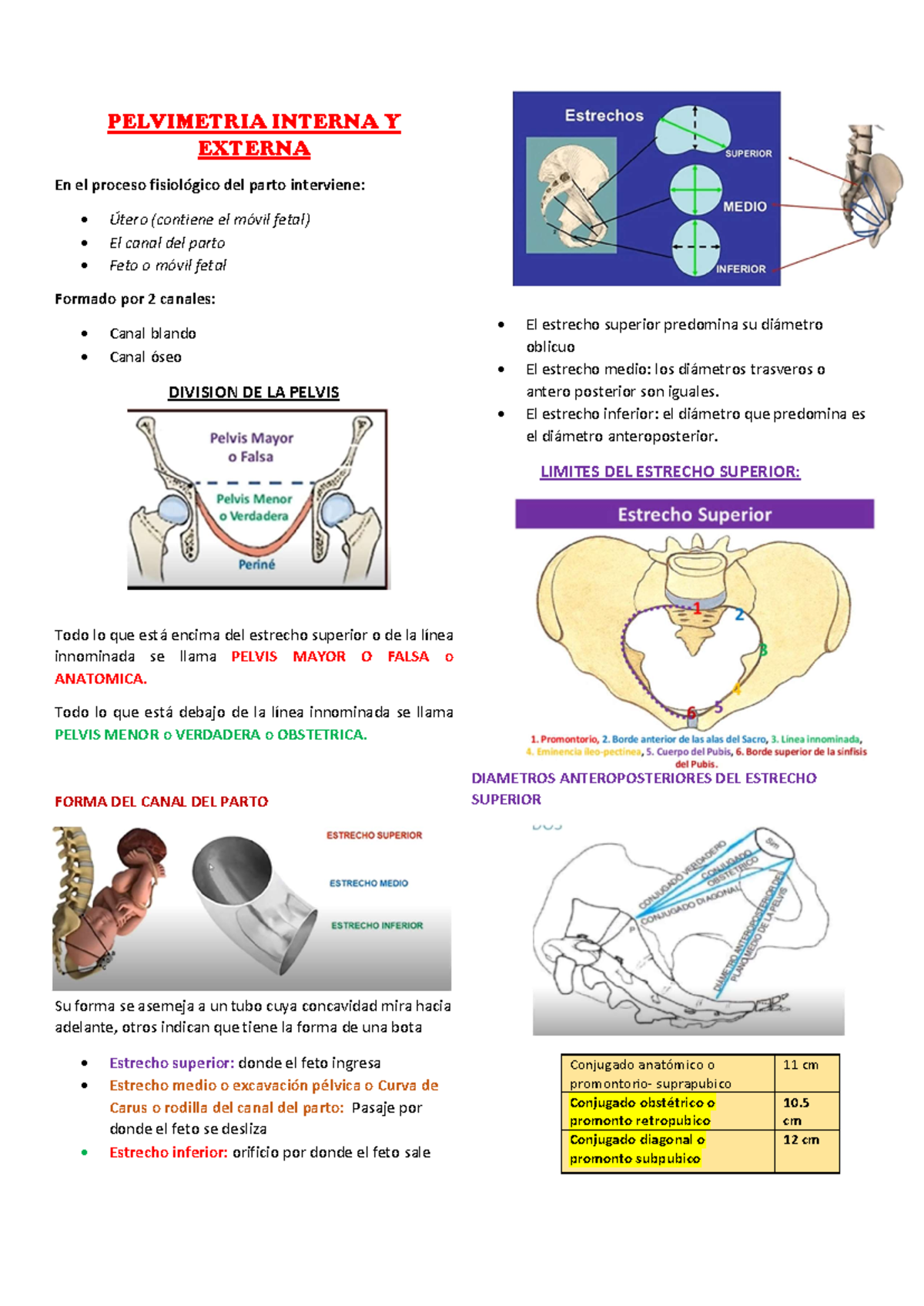 Pelvimetría: Aspectos Clave de la Pelvis Interna y Externa - Studocu