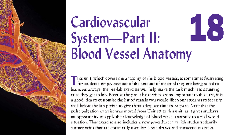 18 Cardiovascular II: Blood Vessel Anatomy and Exercises - Studocu