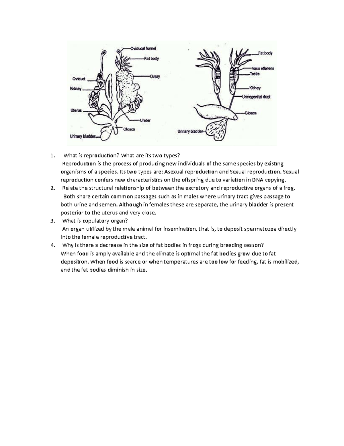 M3A9 POST LAB - ACTIVITY - What is reproduction? What are its two types ...