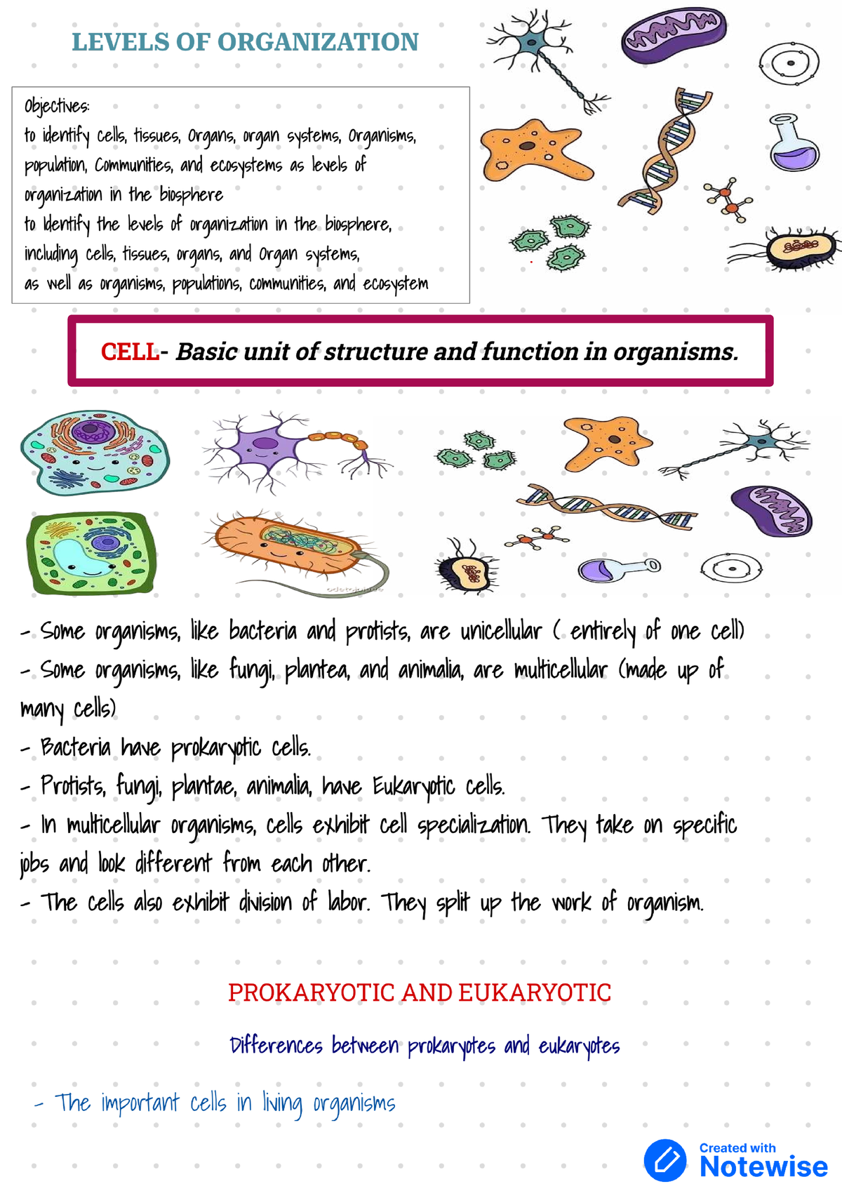 BIO 101: Levels of Organization in the Biosphere - Chapter 1 Notes ...
