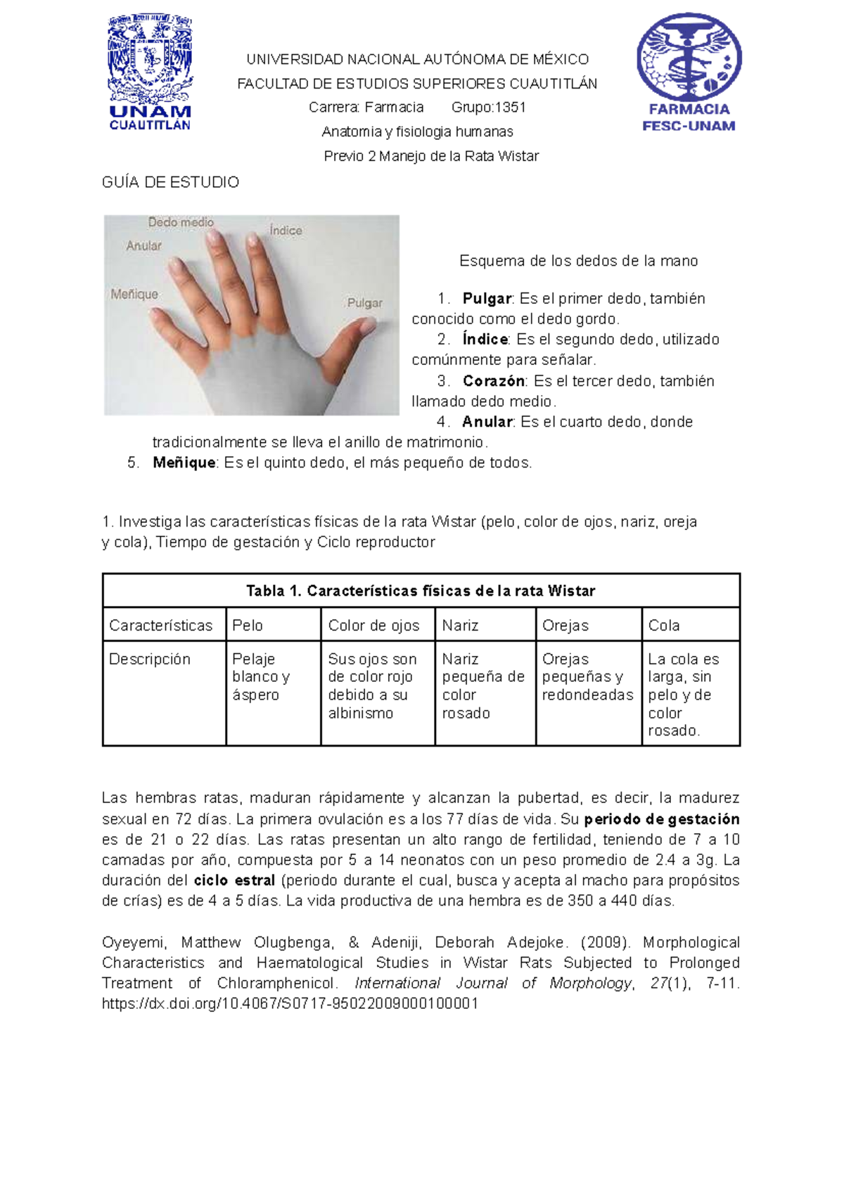 Guía de Estudio: Anatomía y Fisiología de la Rata Wistar - Previo 2 ...