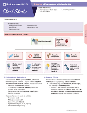 Diuretics Cheat Sheet: Key Medications & Considerations for Nursing ...