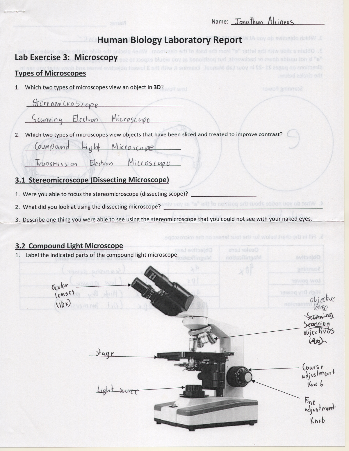 Lab Exercise 3: Exploring Microscopes in Human Biology Lab - Studocu