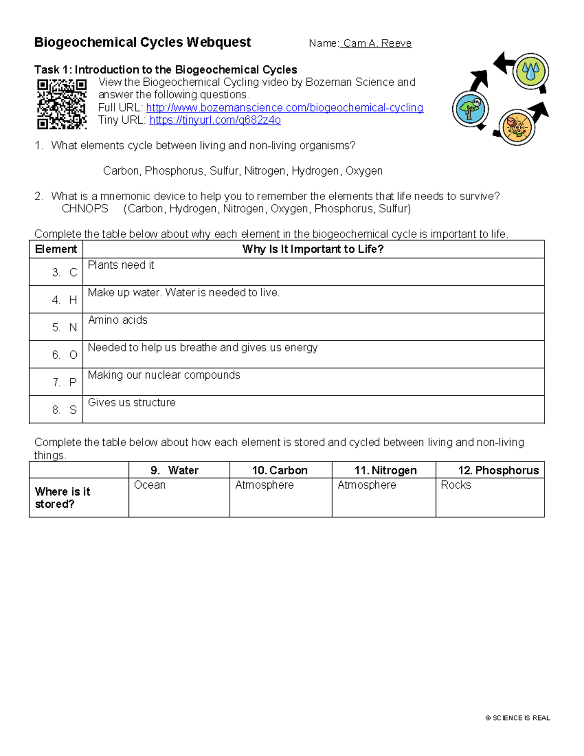 Biogeochemical Cycles Webquest: Exploring Water, Carbon & Nitrogen ...