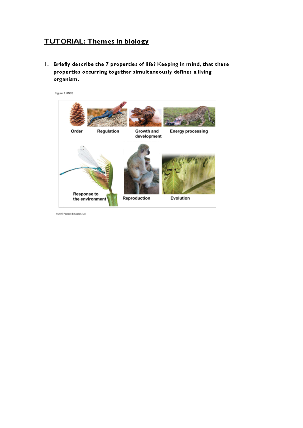 Tutorial- Themes in Biology 1 - TUTORIAL: Themes in biology Briefly ...