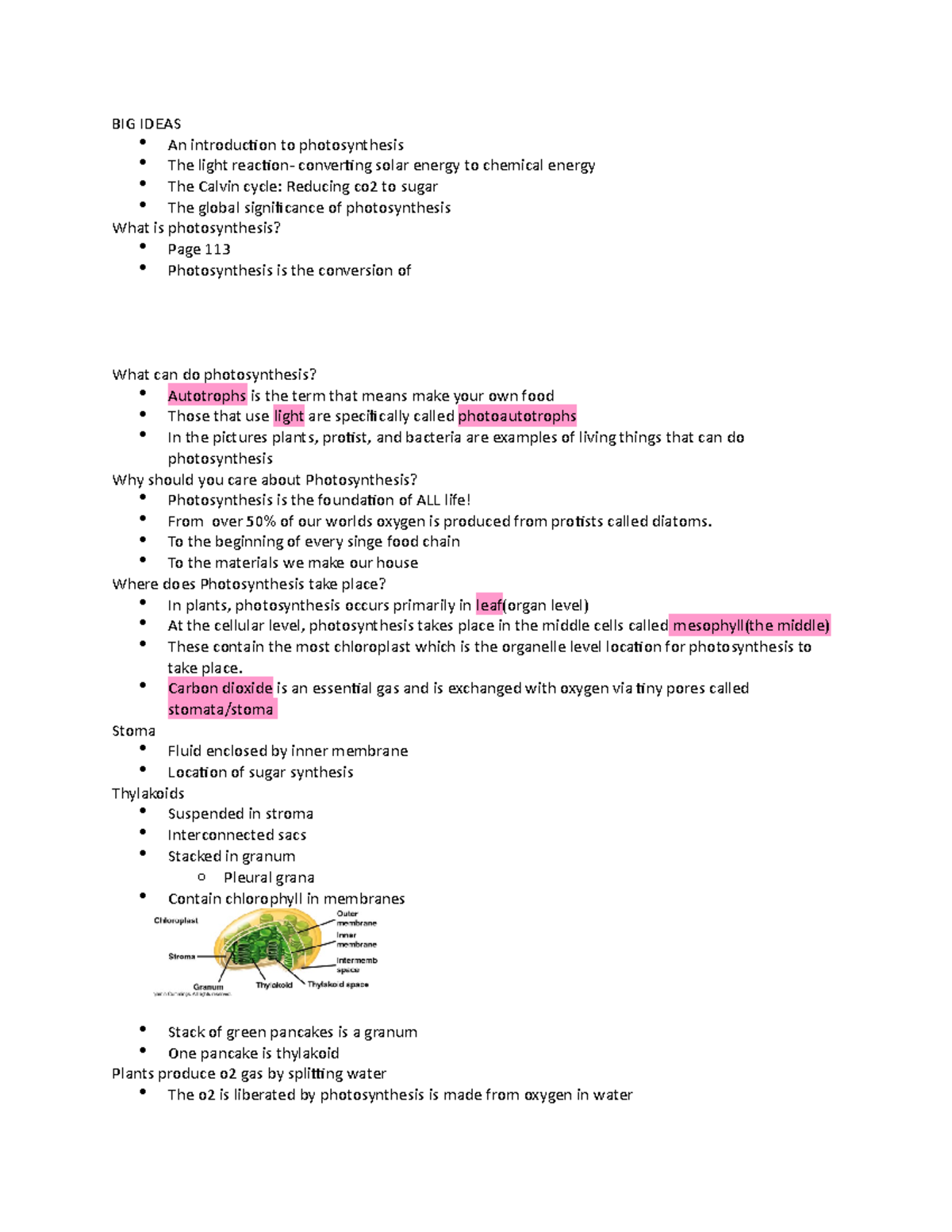 Ch 7 - ch 7 notes - BIG IDEAS An introduction to photosynthesis The ...