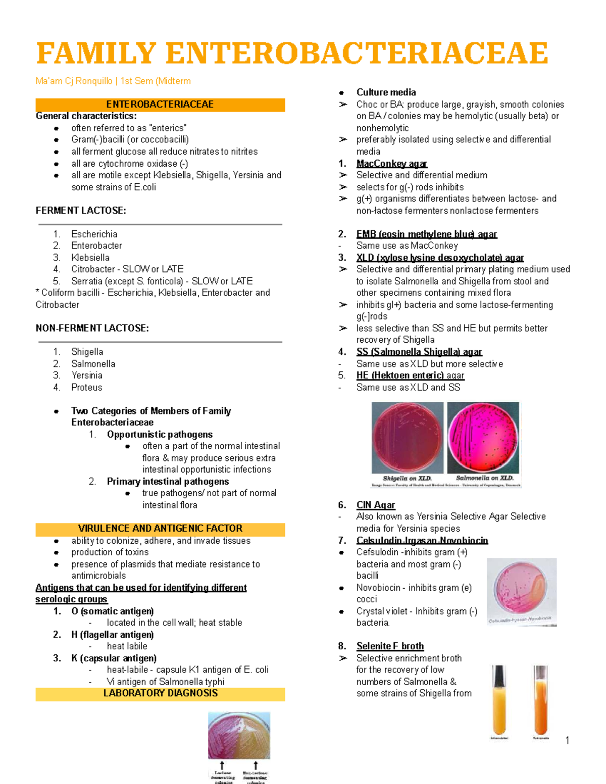 Family Enterobacteriaceae: Cj Ronquillo 1st Sem (Midterm Study Notes ...