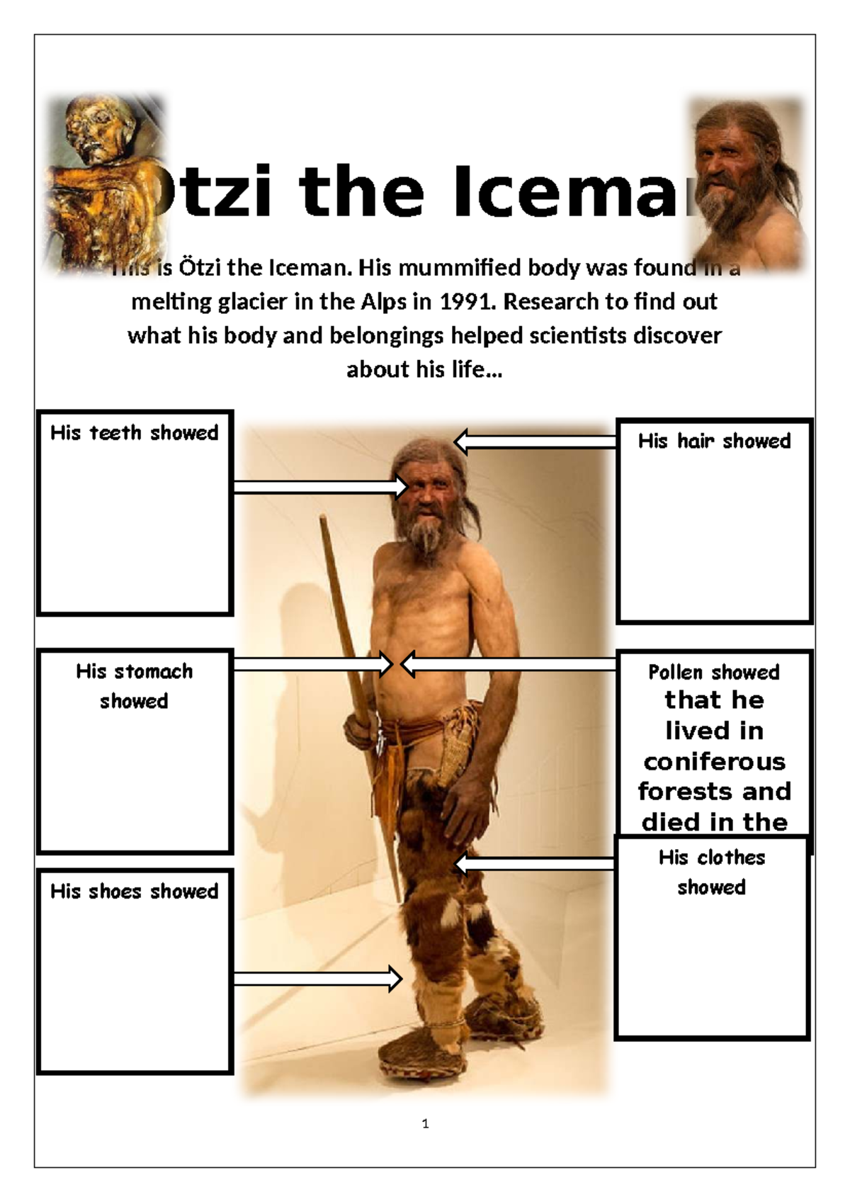 OTZI THE Iceman TASK - Bubbuubunedu - Modern Indian history - Otzi the ...