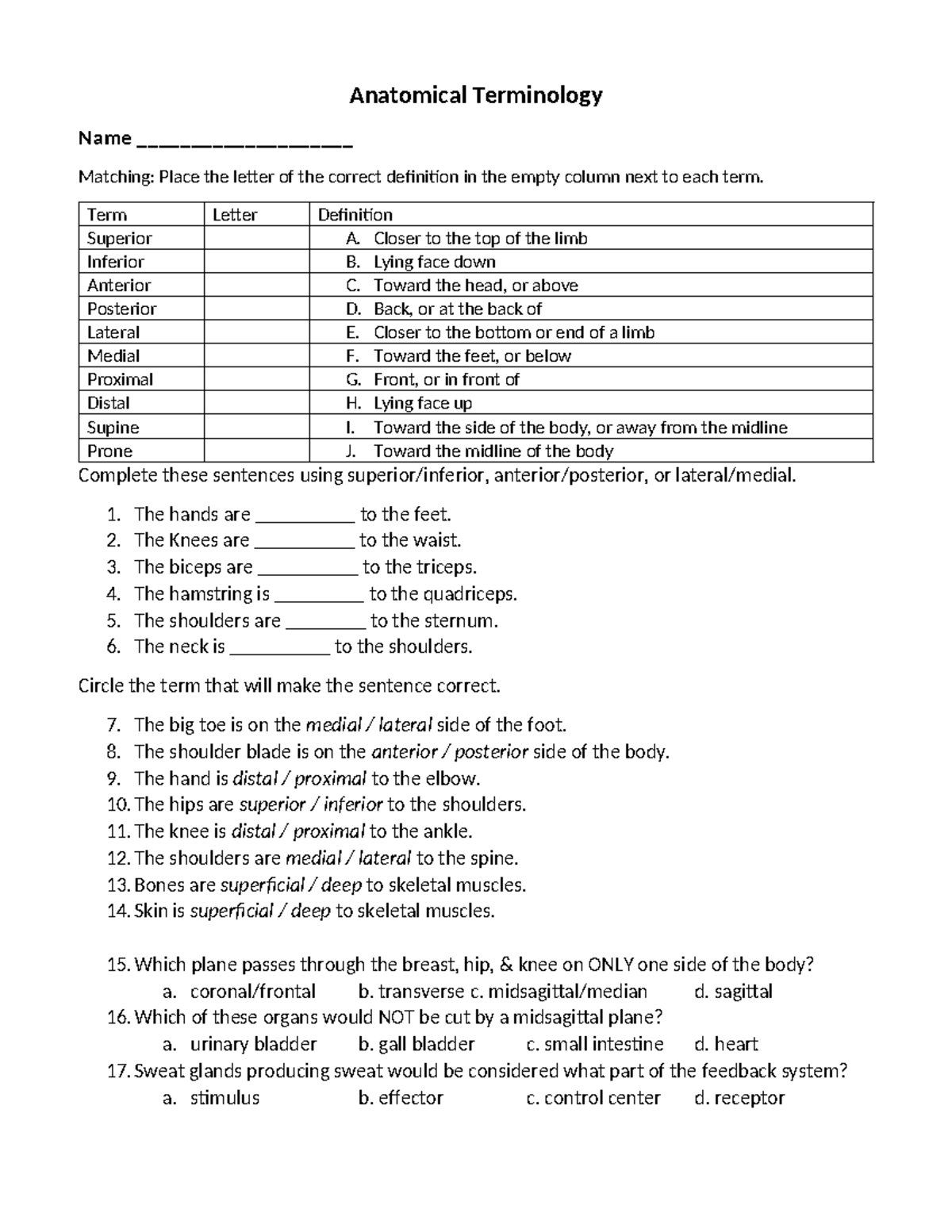 Ch 1 Worksheet: Anatomical Terminology Name Matching Exercise - Studocu
