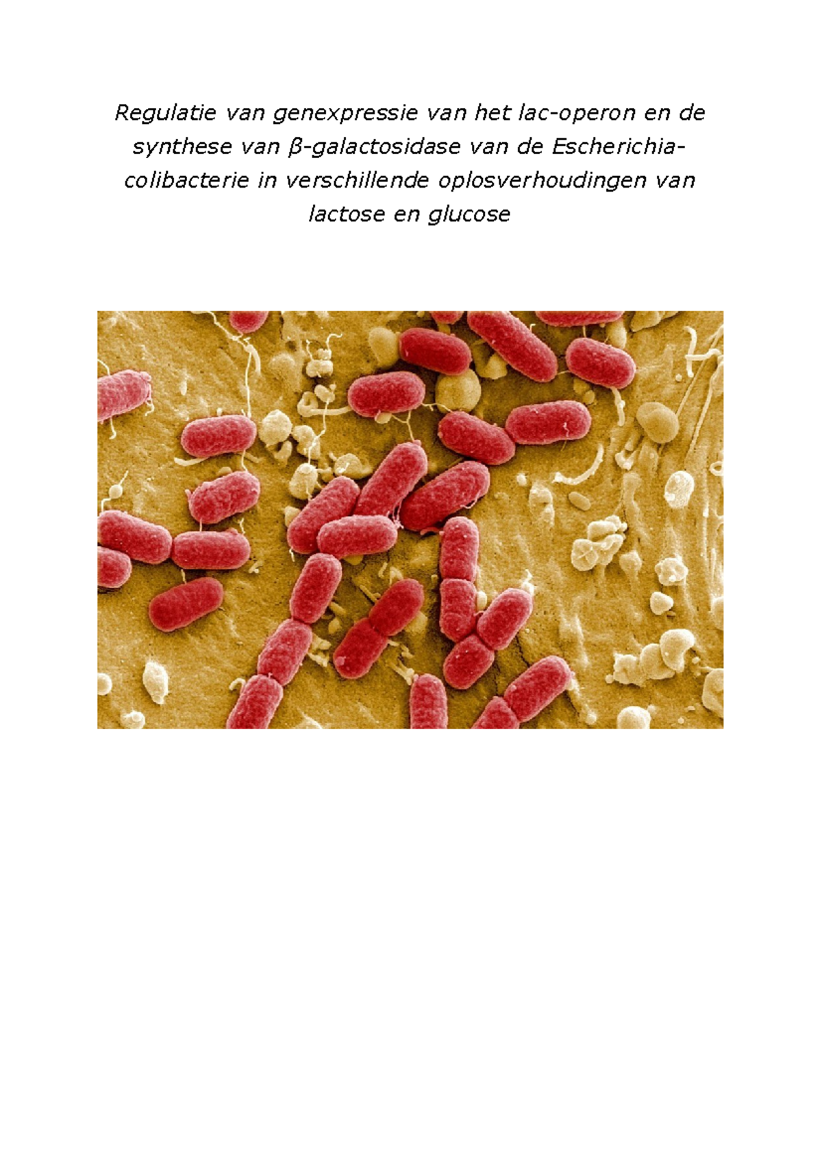 Regulatie van Genexpressie van het lac-operon en β-galactosidase ...