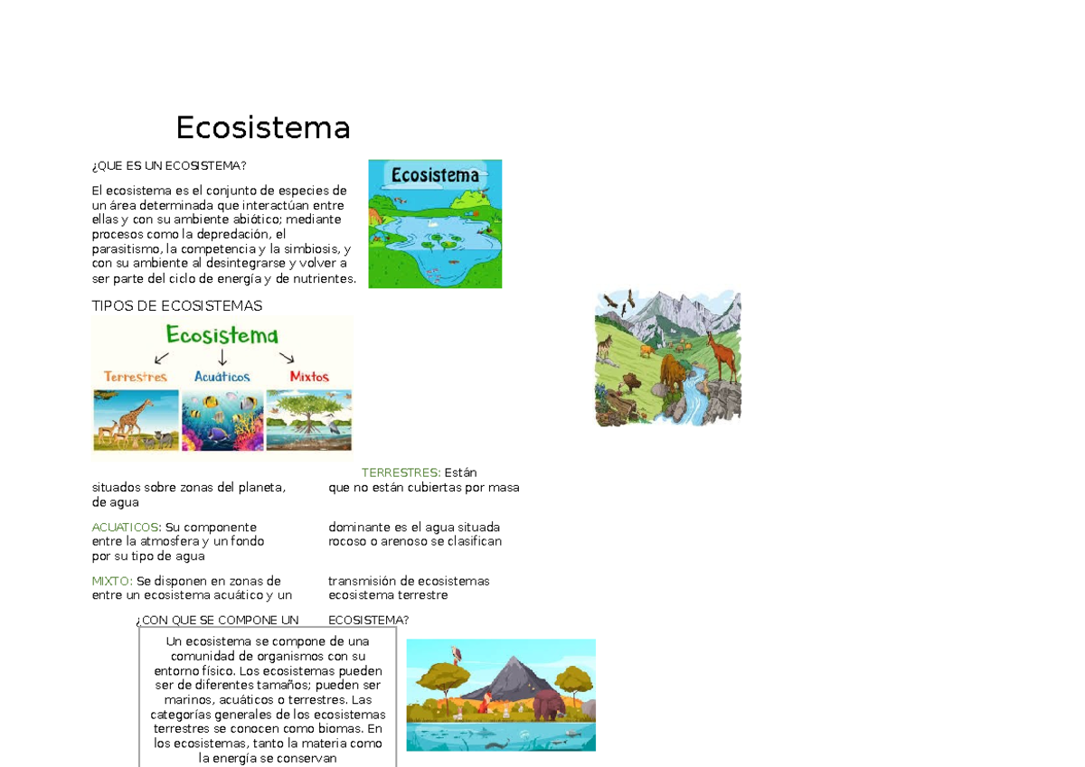 Ecosistemas: Tipos, Composición y Procesos Ecológicos - Studocu