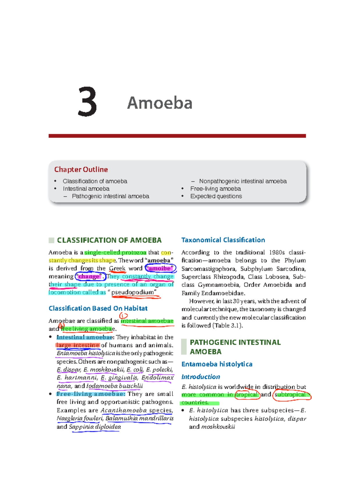 Split PDFFile 40 to 64 - merged notes - CLASSIFICAtION OF AMOEBA Amoeba ...