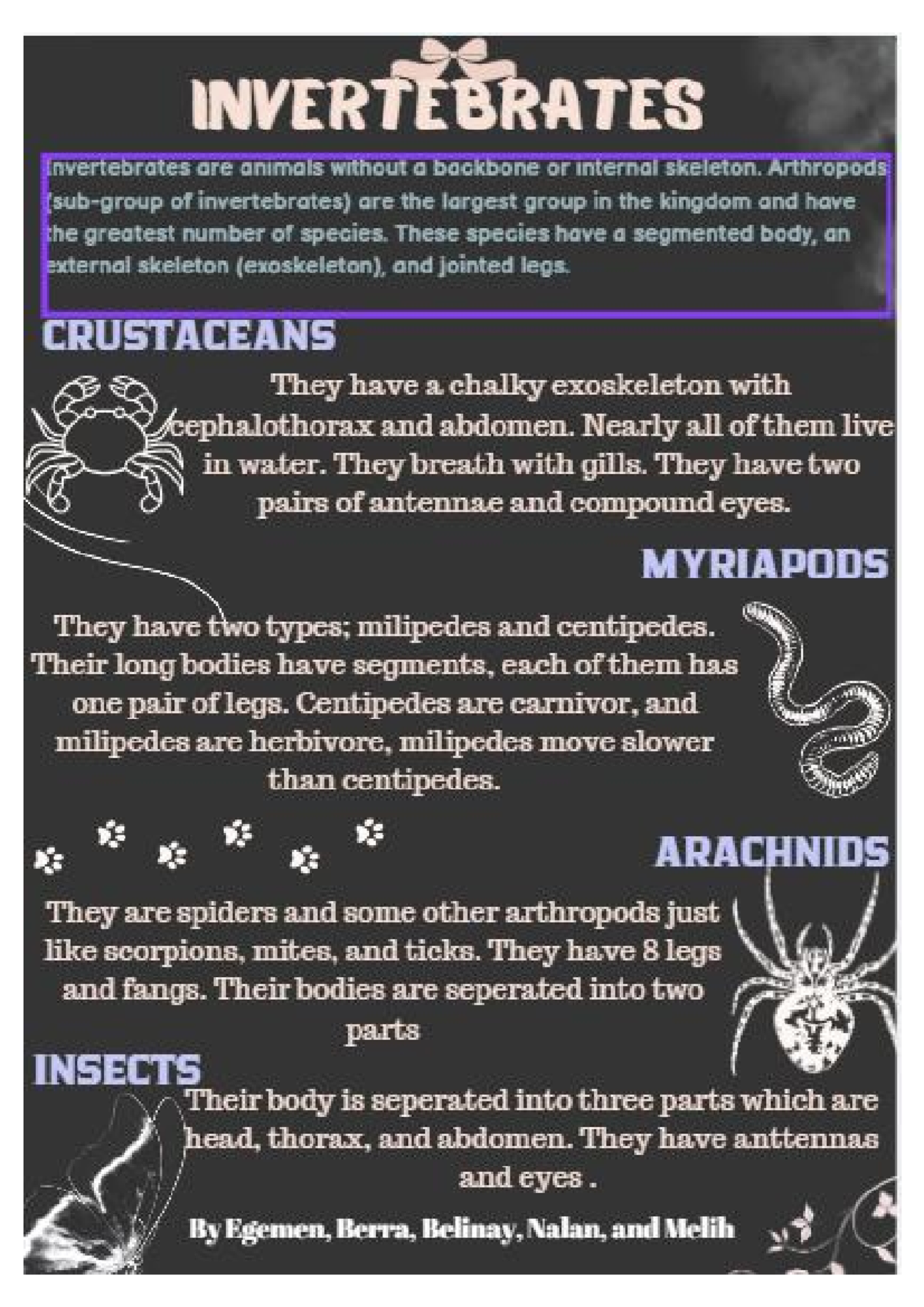 Poster about a - INVERTEBRATES Invertebrates are animals without a ...