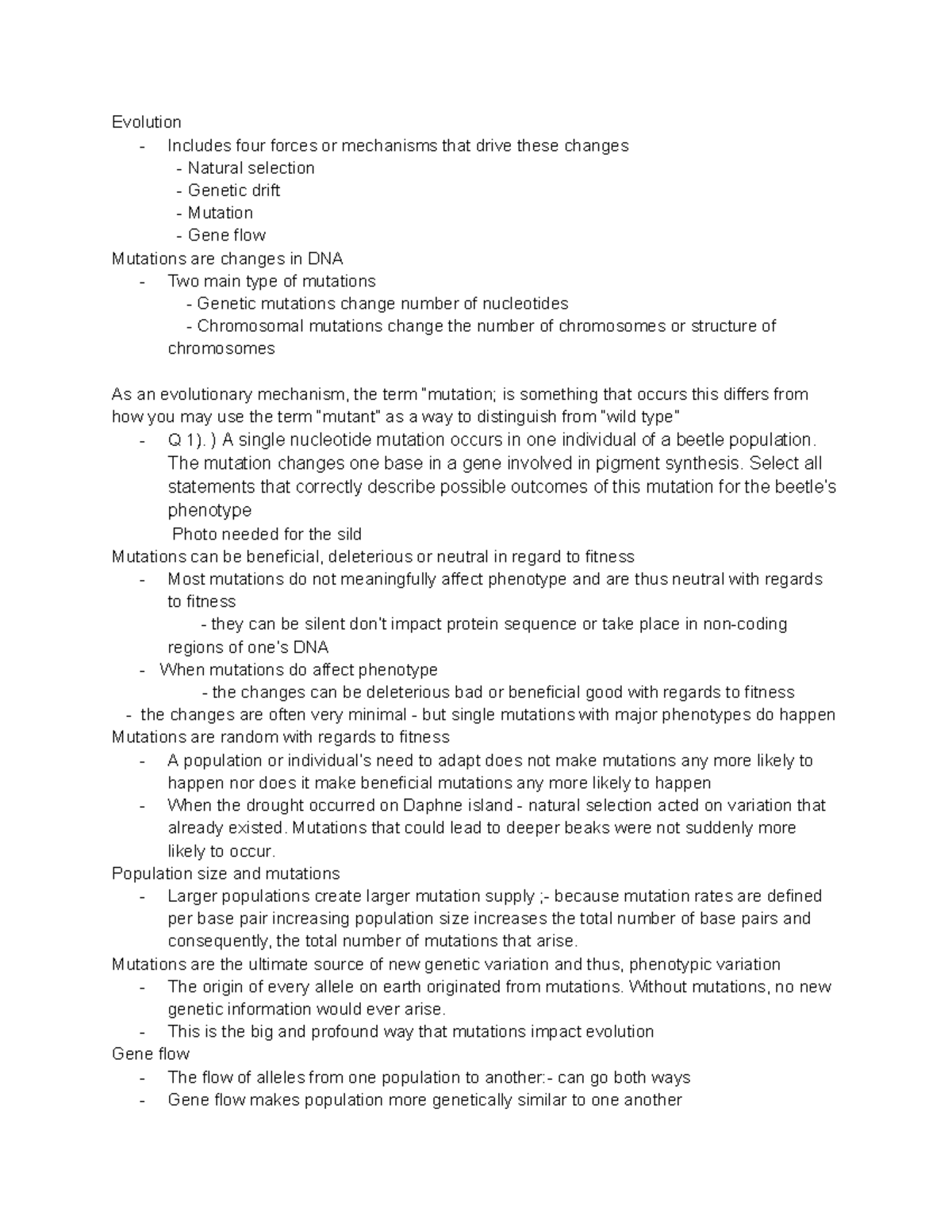 BIOL 1070 Lecture Notes: Mechanisms of Genetic Mutation - Studocu