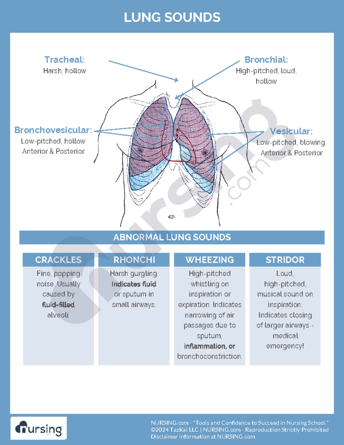 Lung Sounds - LUNG SOUNDS ABNORMAL LUNG SOUNDS CRACKLES Fine, popping ...