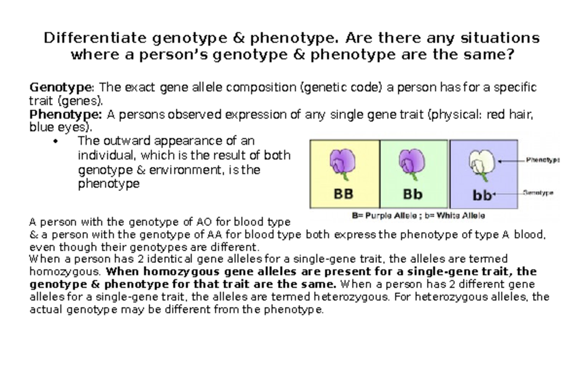 Mod 1 Flash Cards - Genetics Concepts and Inheritance Patterns - Studocu