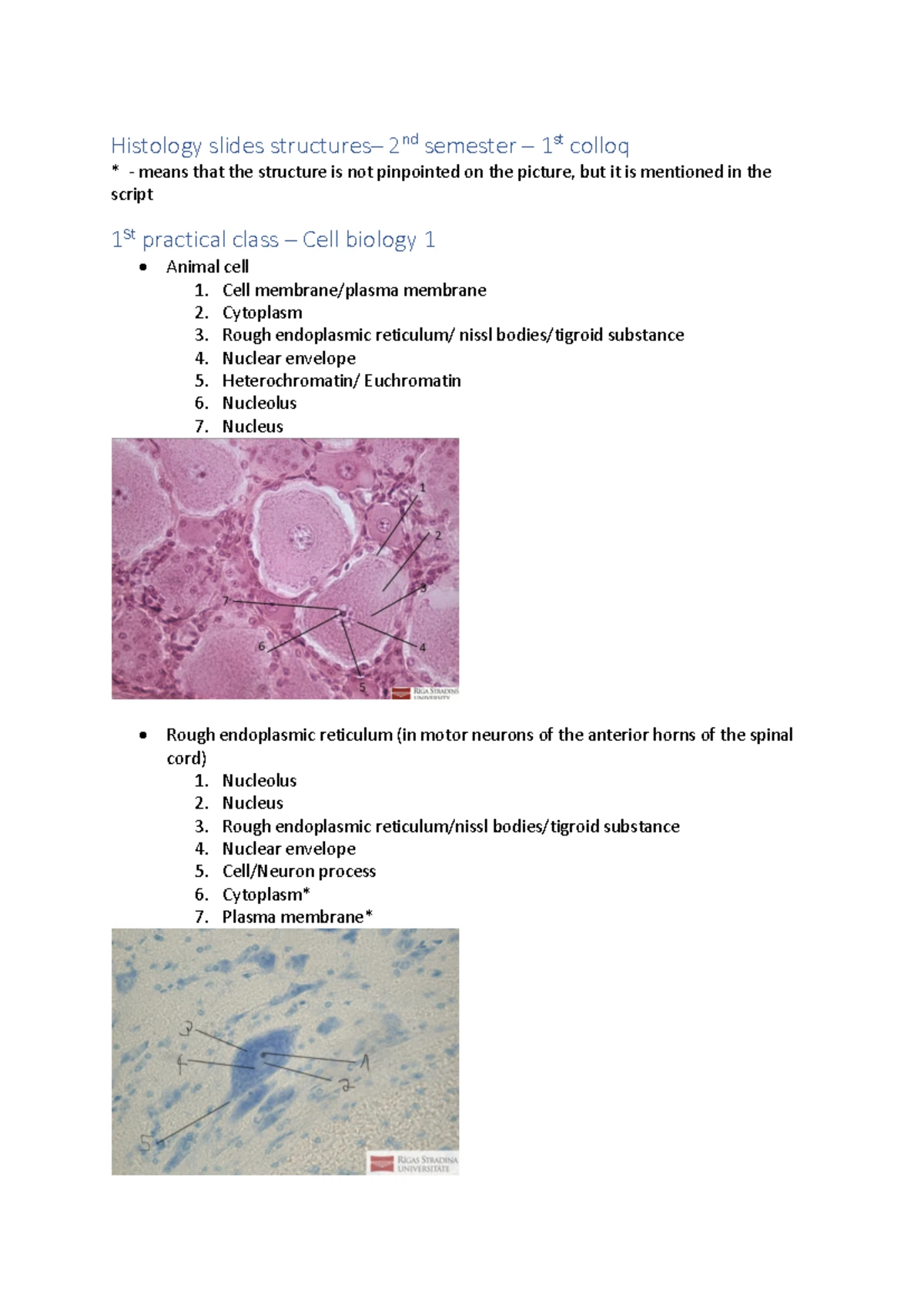 Histology Seminar Slides - Semester 3 - Annotated Notes by Nadia ...