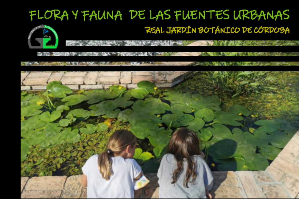 Guía Educativa: Flora y Fauna de las Fuentes Urbanas (FLORA Y FAUNA ...
