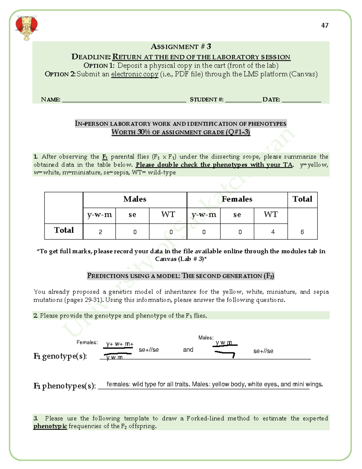 Biol 226 Lab #3 Assignment - A SSIGNMENT # 3 D EADLINE: R ETURN AT THE ...