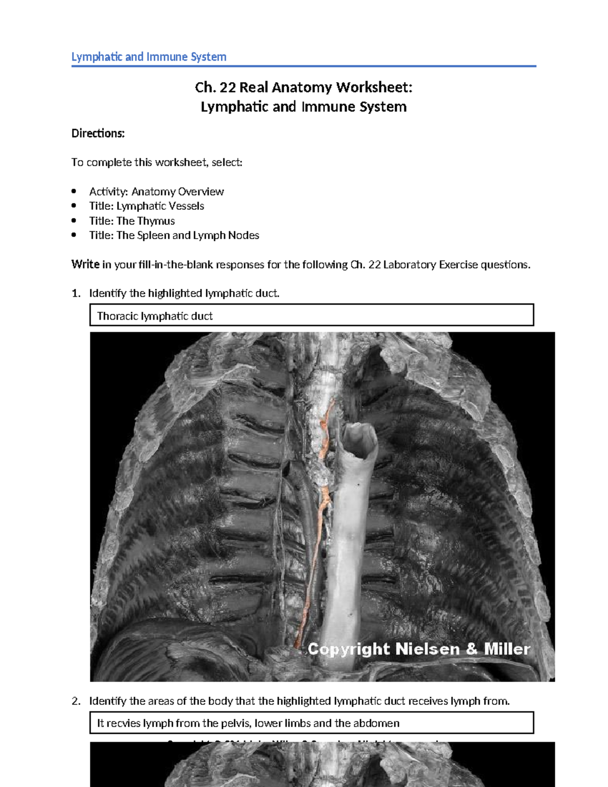 Bio291 Ch. 22 Worksheet: Lymphatic & Immune System Overview - Studocu